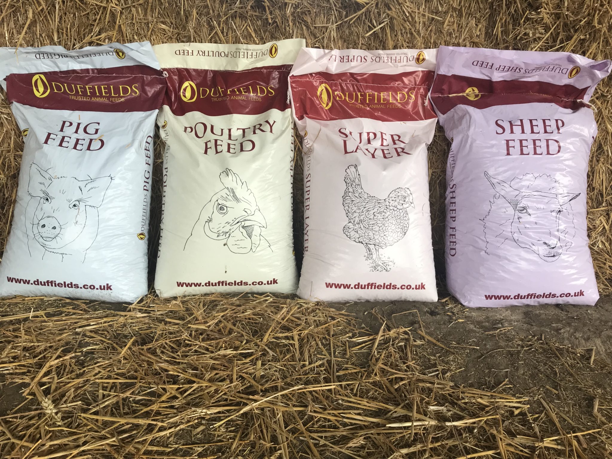 Duffields Pig & Poultry Feed at Competitive Prices - Always